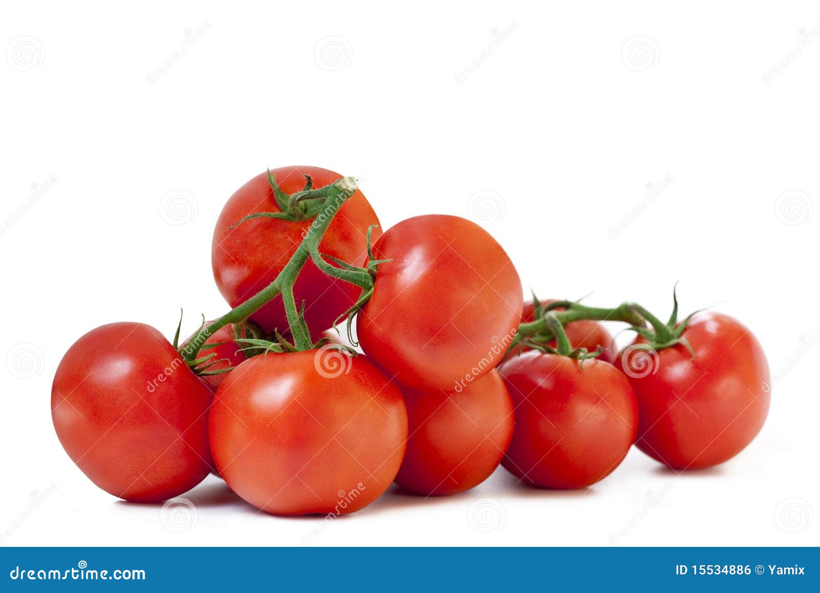 Tomatoes stock photo. Image of simplicity, organic, isolated - 15534886