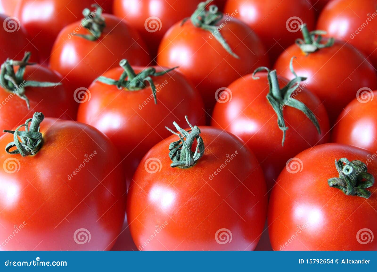 Tomatoes stock photo. Image of food, ripe, plants, tails - 15792654