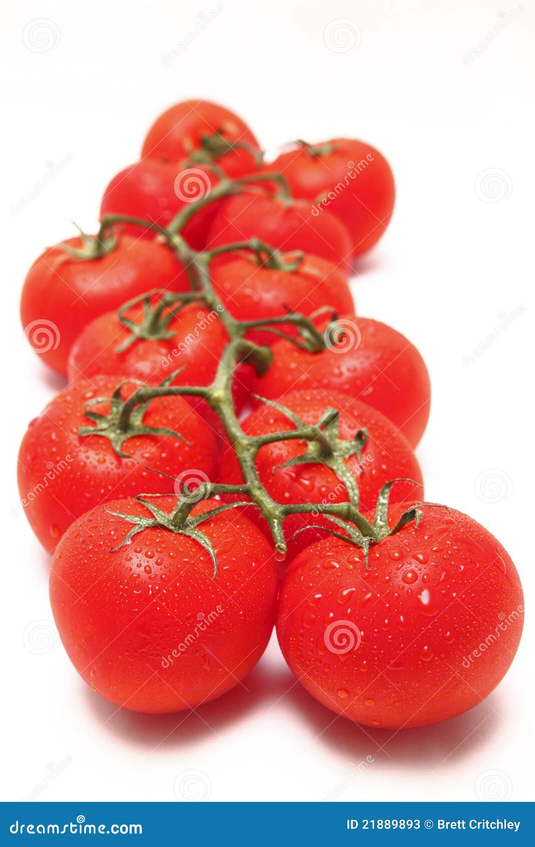 Vine tomato tomatoes red stock image. Image of ripe, vegetable - 21889893