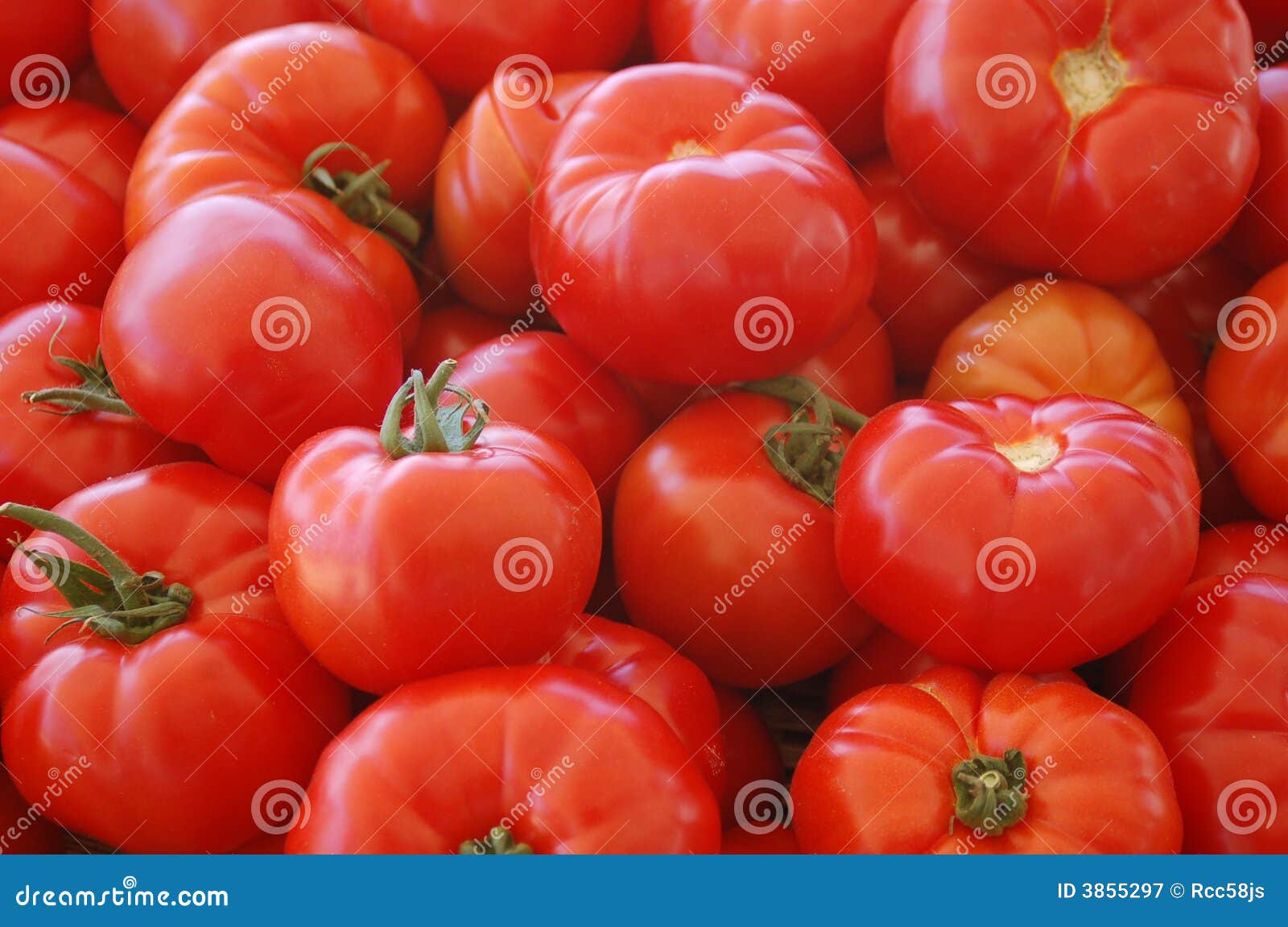 Tomatoes stock image. Image of food, fresh, beautiful - 3855297