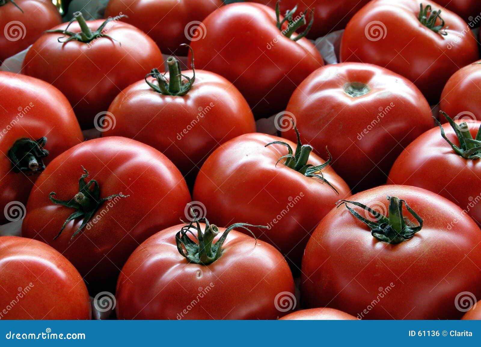 Tomatoes stock photo. Image of tomatos, vegetable, veggie - 61136