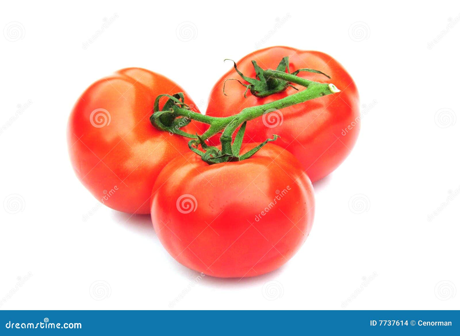 Tomatoes stock photo. Image of produce, isolated, food - 7737614