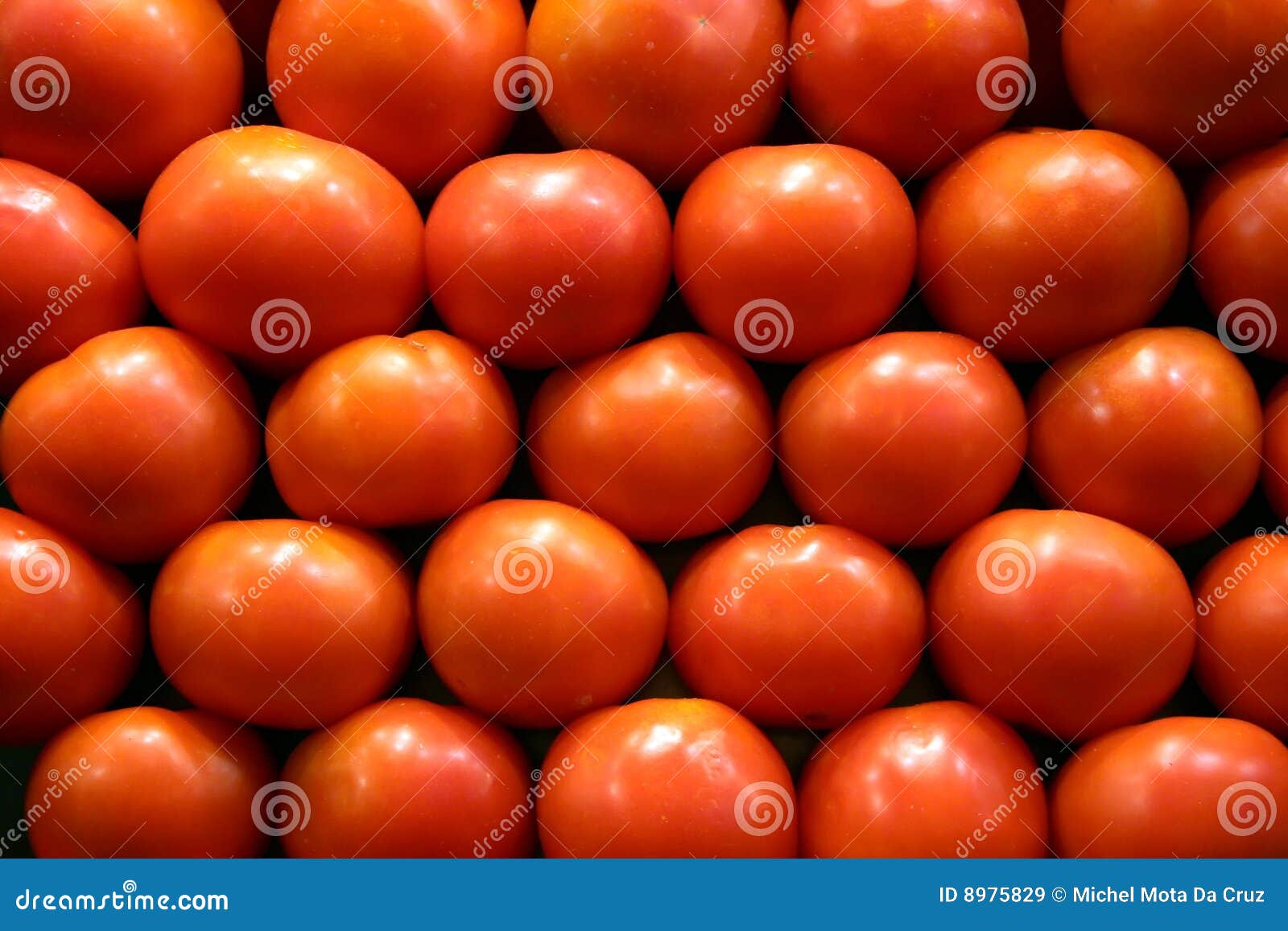 Tomatoes stock image. Image of color, pack, agriculture - 8975829
