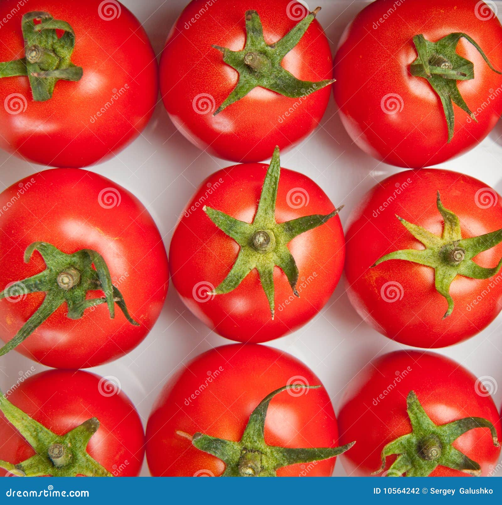 Tomatoes background stock photo. Image of group, green - 10564242