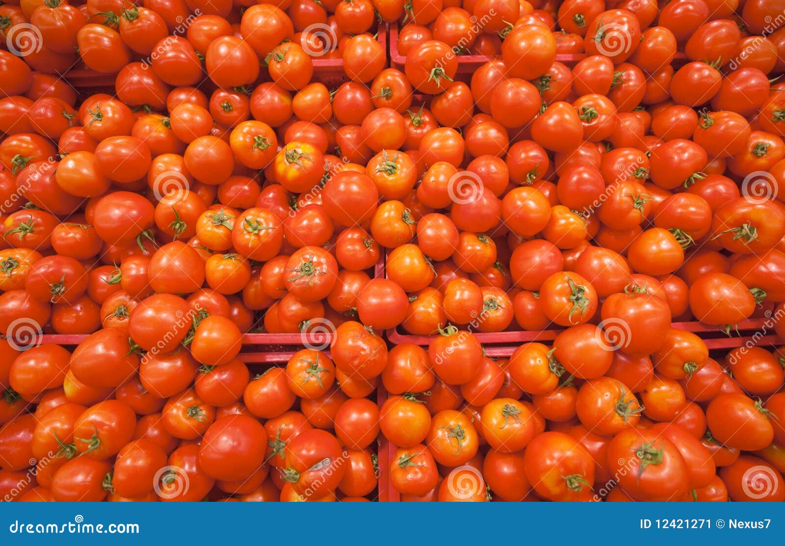 Tomatoes Background stock image. Image of bunch, fresh - 12421271