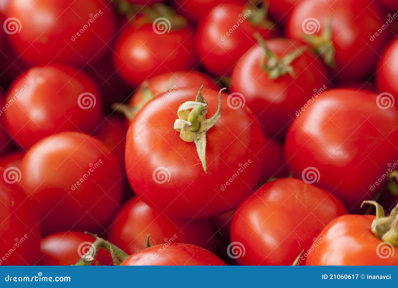 Tomatoes background stock image. Image of horizontal - 21060617