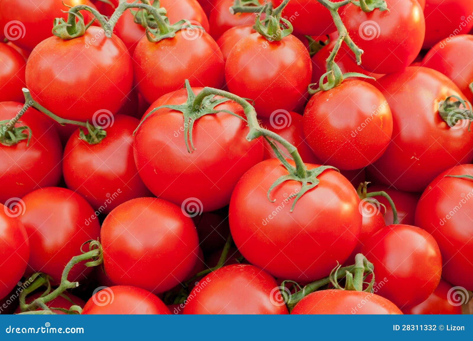 Tomatoes background stock photo. Image of eating, delicious - 28311332