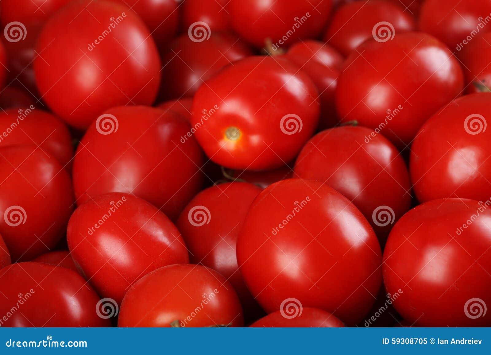 Tomatoes background stock image. Image of produce, agriculture - 59308705