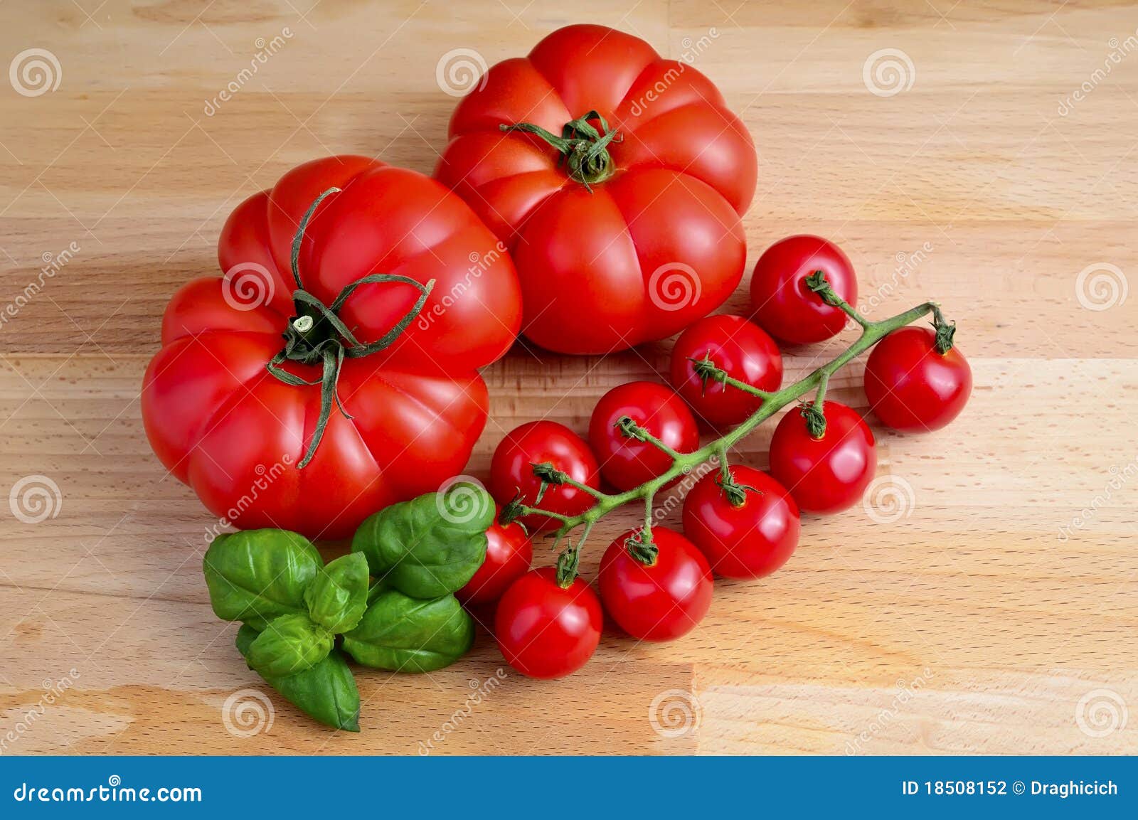 Tomatoes and basil stock photo. Image of culinary, ingredients - 18508152
