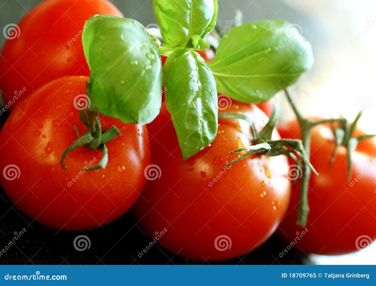 Tomatoes and basil stock image. Image of branch, color - 18709765