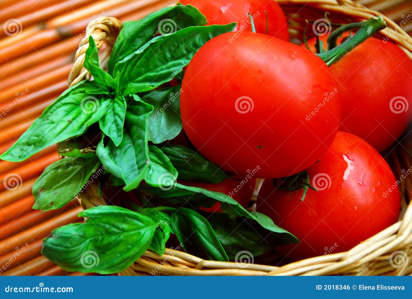 Tomatoes and basil stock photo. Image of italy, ethnic - 2018346