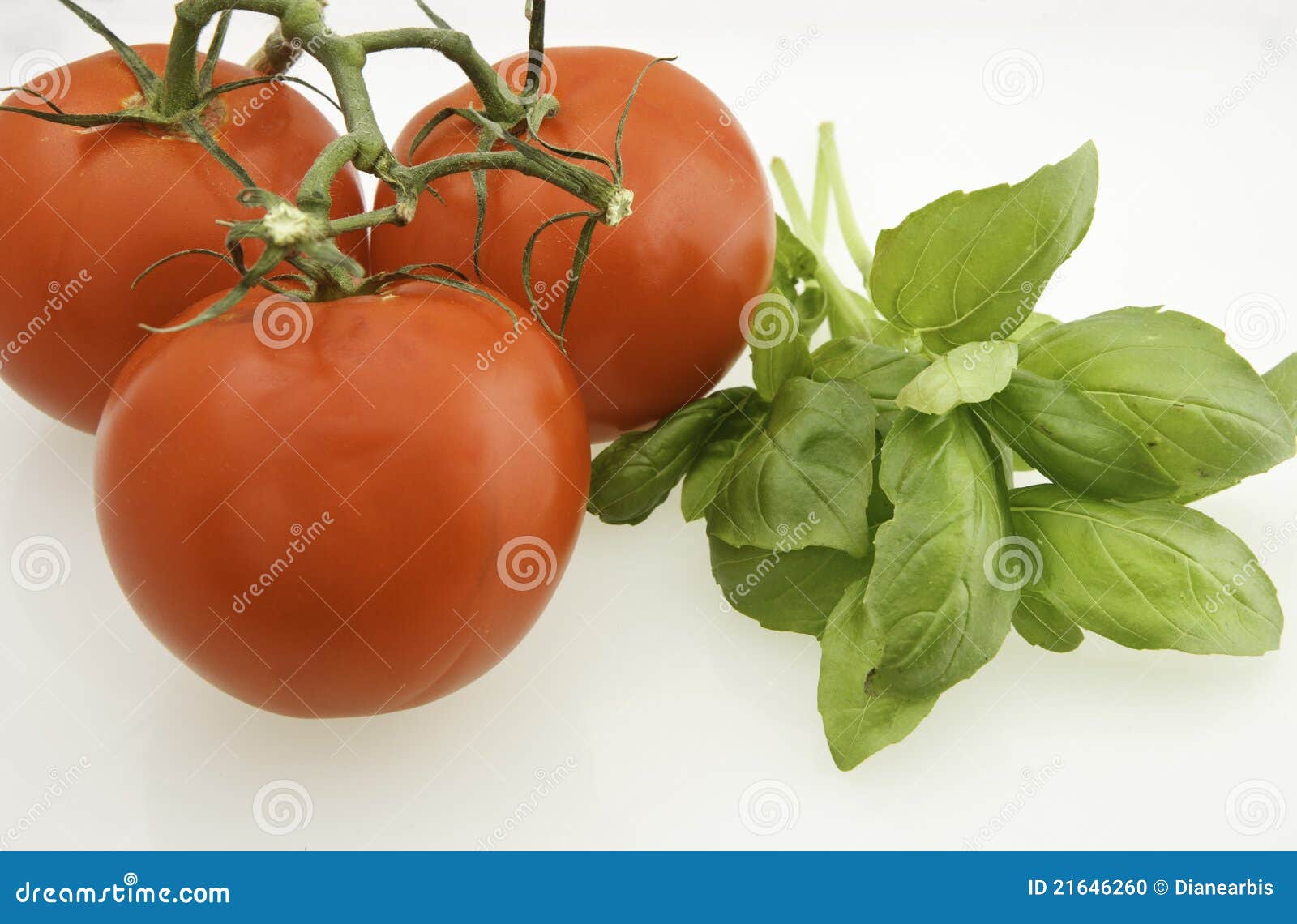 Tomatoes and Basil stock photo. Image of flavor, medicinal - 21646260