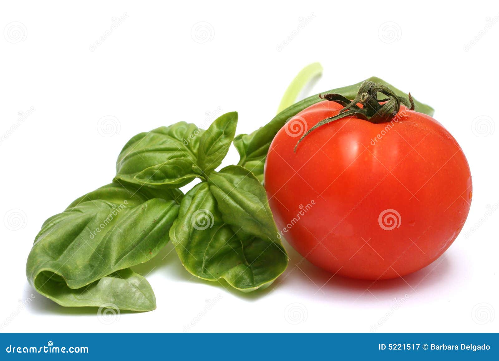 Tomatoes and Basil stock image. Image of diet, italian - 5221517