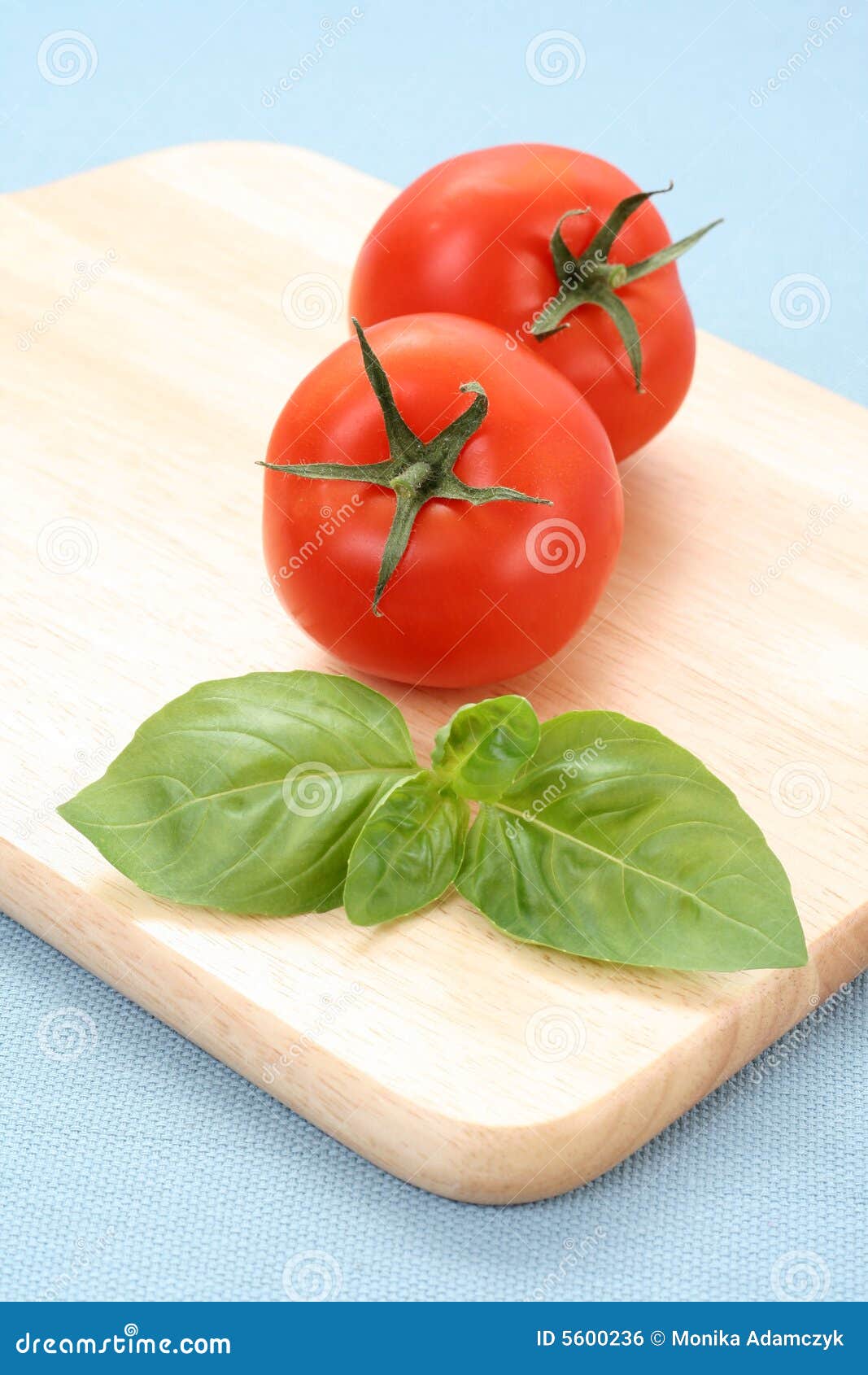 Tomatoes and basil stock photo. Image of lifestyle, nutrition - 5600236
