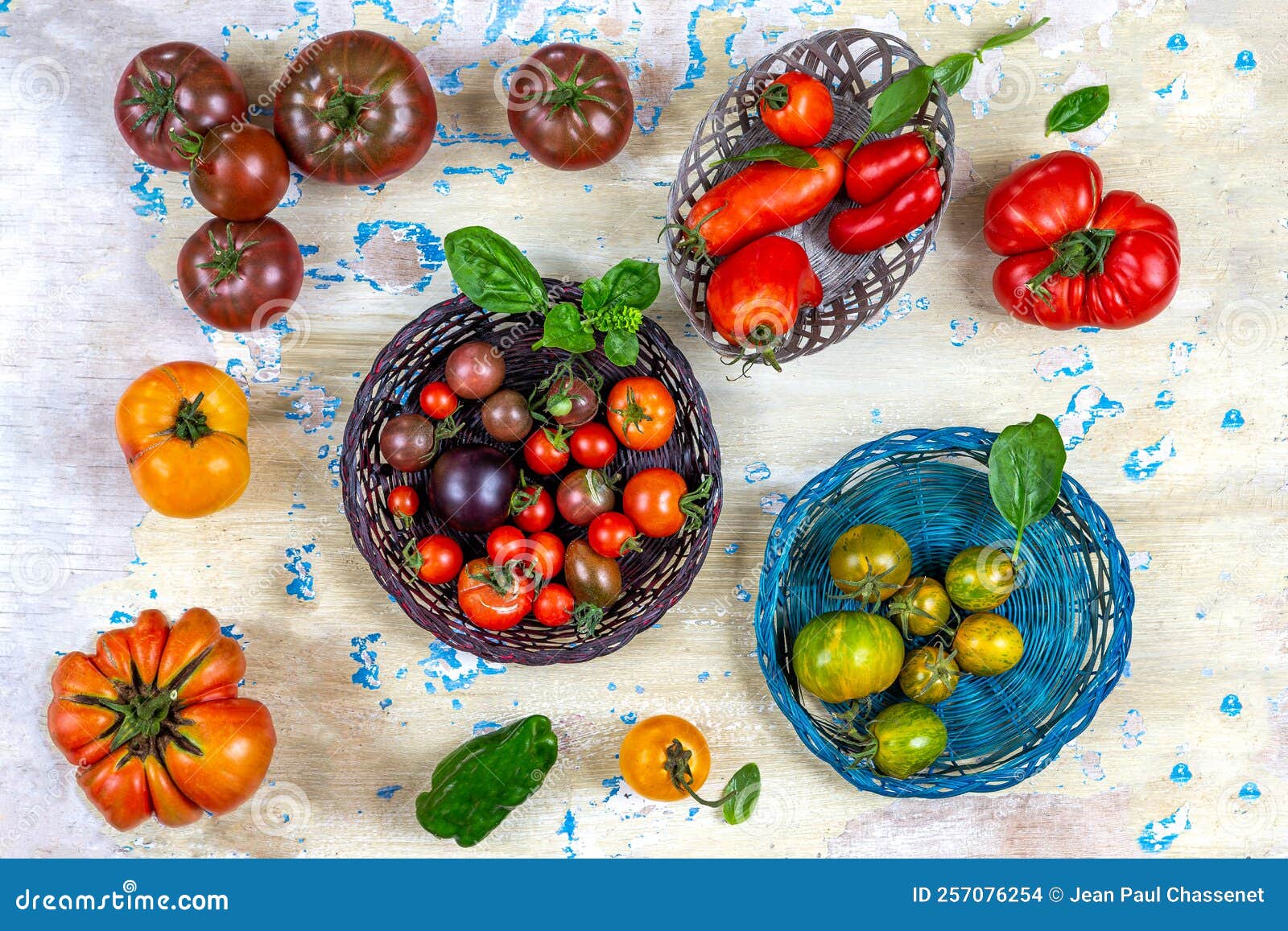 Panel of Old Tomatoes Grouped by Species Stock Photo - Image of ...
