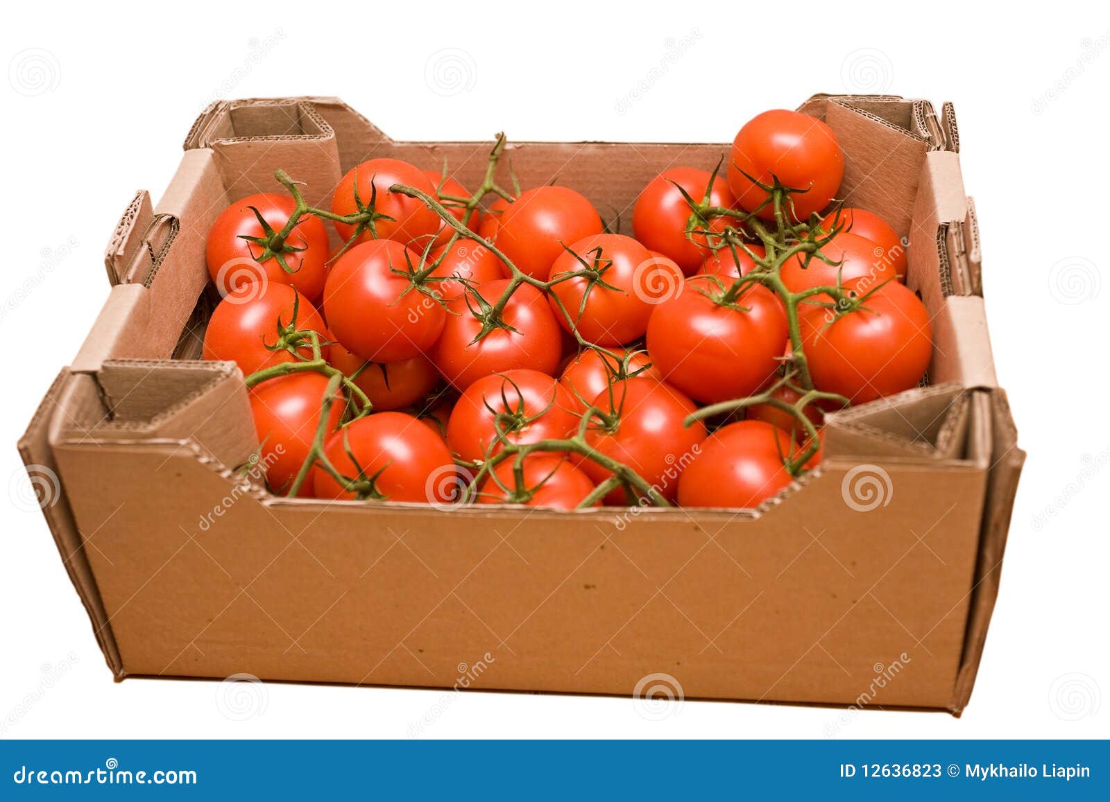 Tomatoes in box stock image. Image of fresh, genetic - 12636823