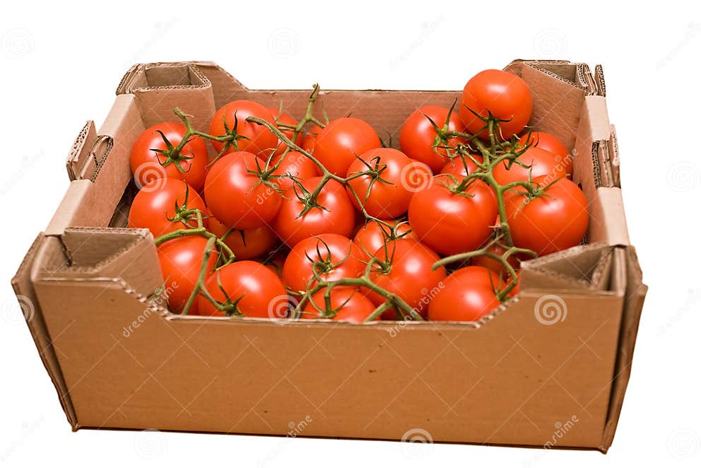 Tomatoes in box stock image. Image of fresh, genetic - 12636823