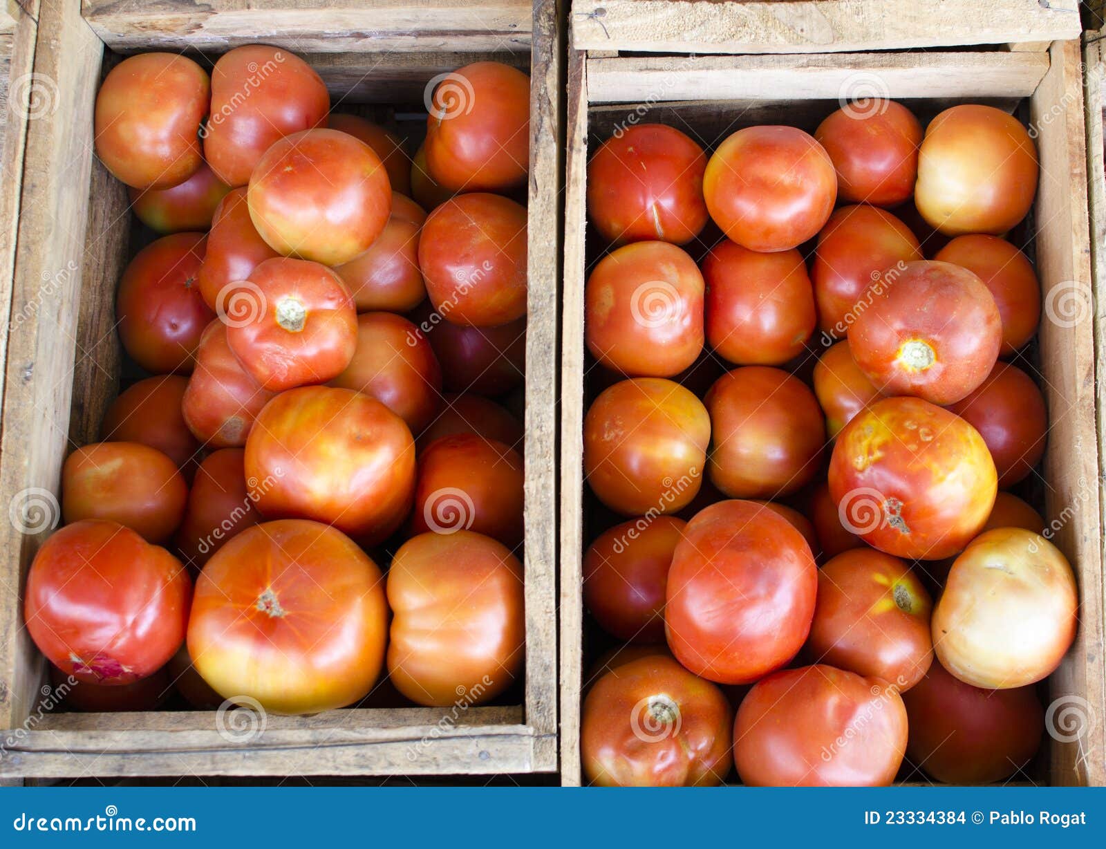 Tomatoes box stock photo. Image of market, fresh, fruit - 23334384