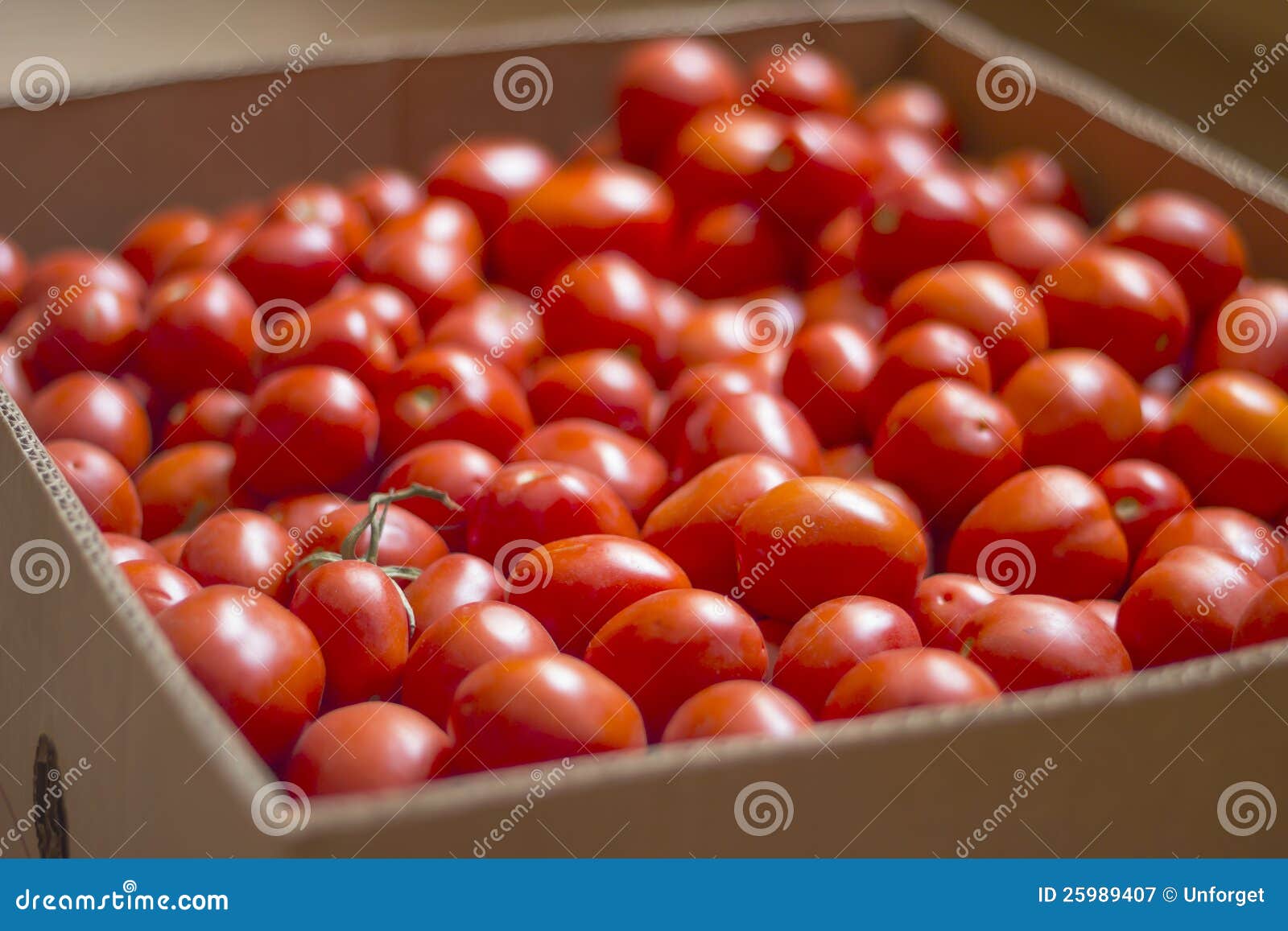 Tomatoes in a box stock image. Image of diet, tomatoes - 25989407