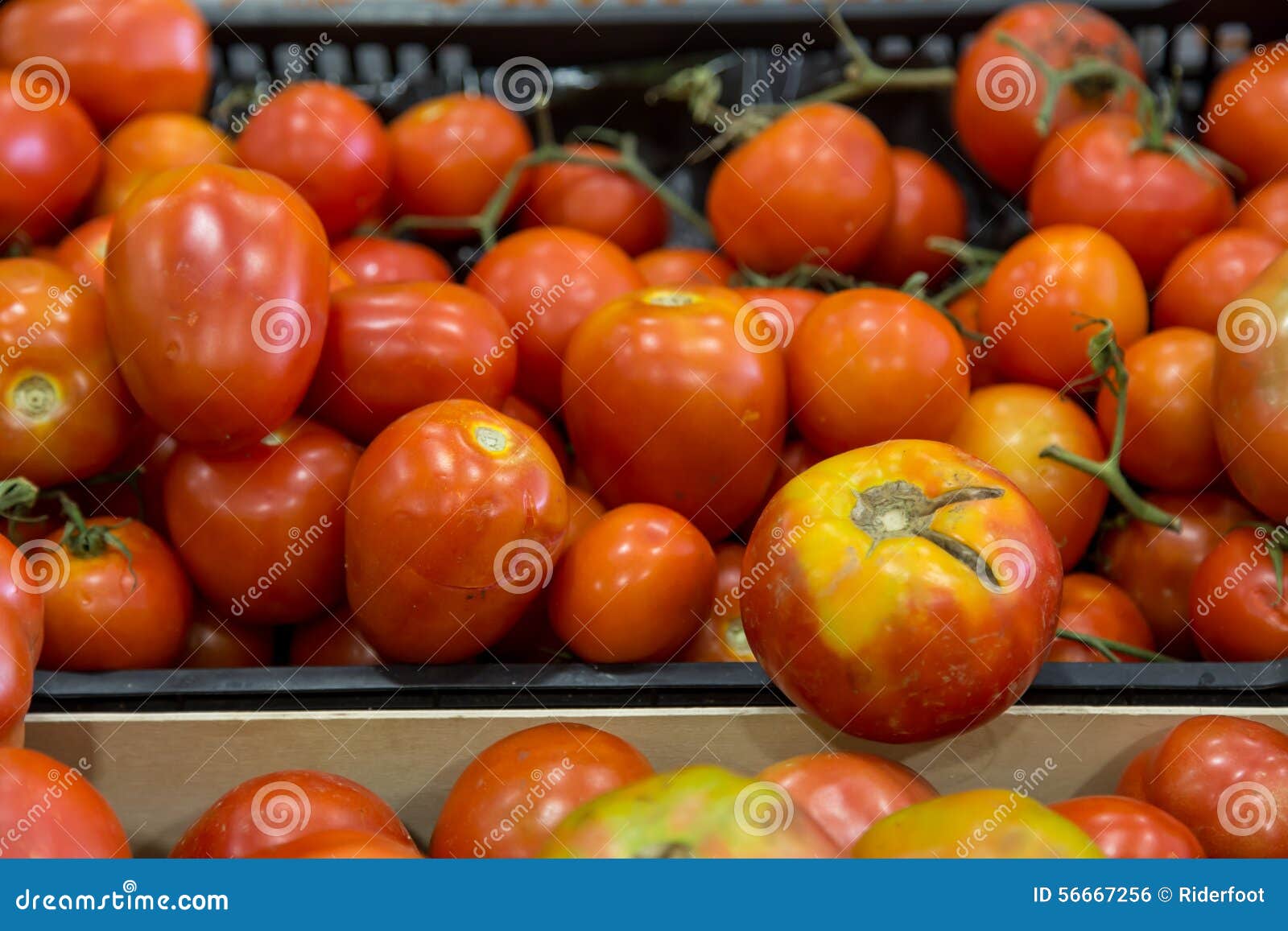 Tomatoes in a Box from a Market Stock Photo - Image of tasty, vegetable ...