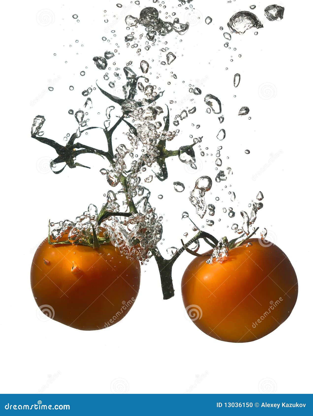 Tomatoes on a Branch Fall into the Water Stock Photo - Image of leaf ...