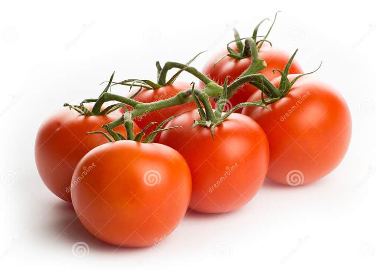 Tomatoes - Bunch of Six, Studio High-key Stock Photo - Image of studio ...