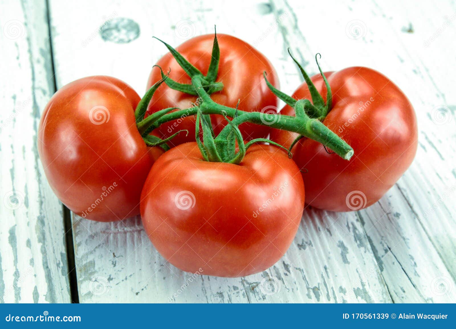 Tomatoes in buns stock image. Image of buns, fresh, closeup - 170561339