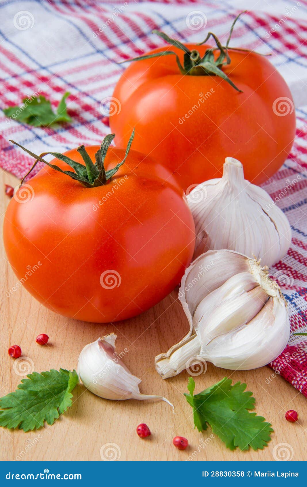 Tomatoes, Cilantro and Garlic Stock Photo - Image of greenery ...