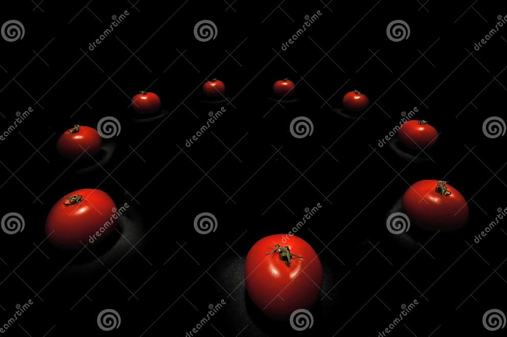 Tomatoes in a circle stock image. Image of nutrition, mirror - 9761215