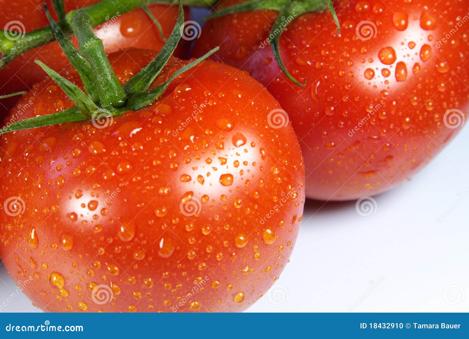 Tomatoes close up stock photo. Image of produce, nature - 18432910
