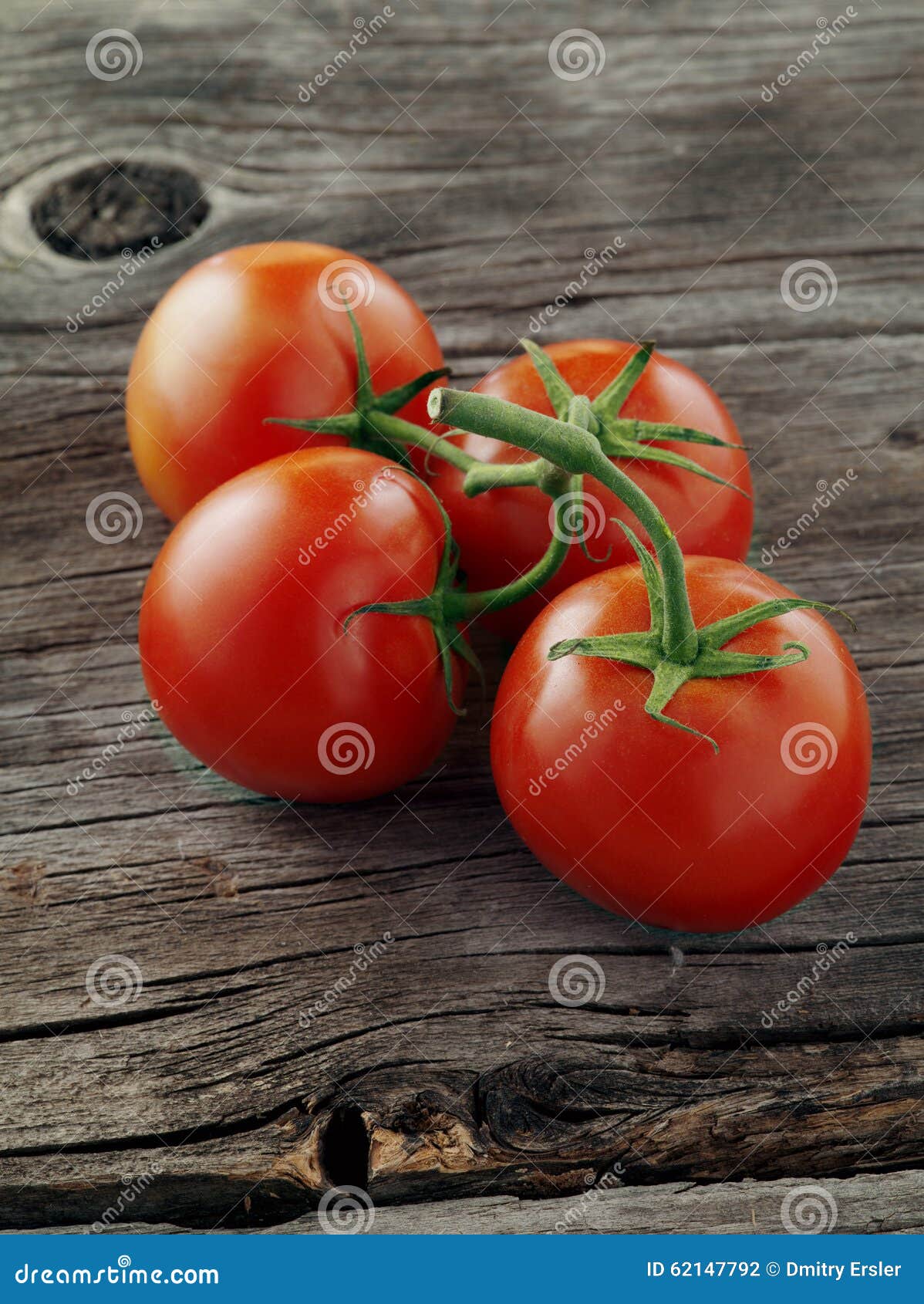 Tomatoes stock photo. Image of freshness, closeup, nature - 62147792