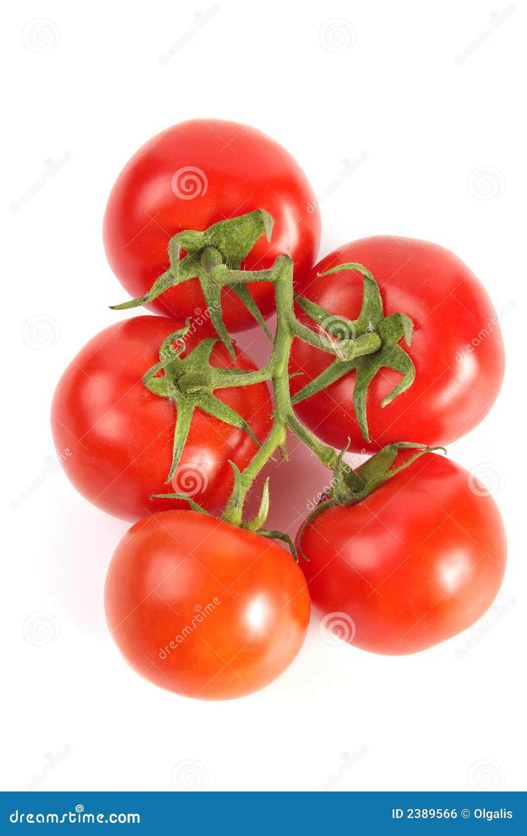 Tomatoes cluster stock photo. Image of group, bunch, gourmet - 2389566