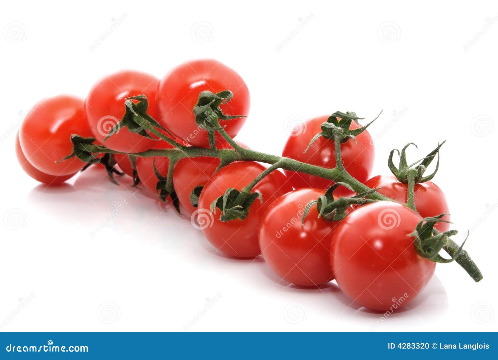 Tomatoes cluster stock photo. Image of nutrition, tied - 4283320