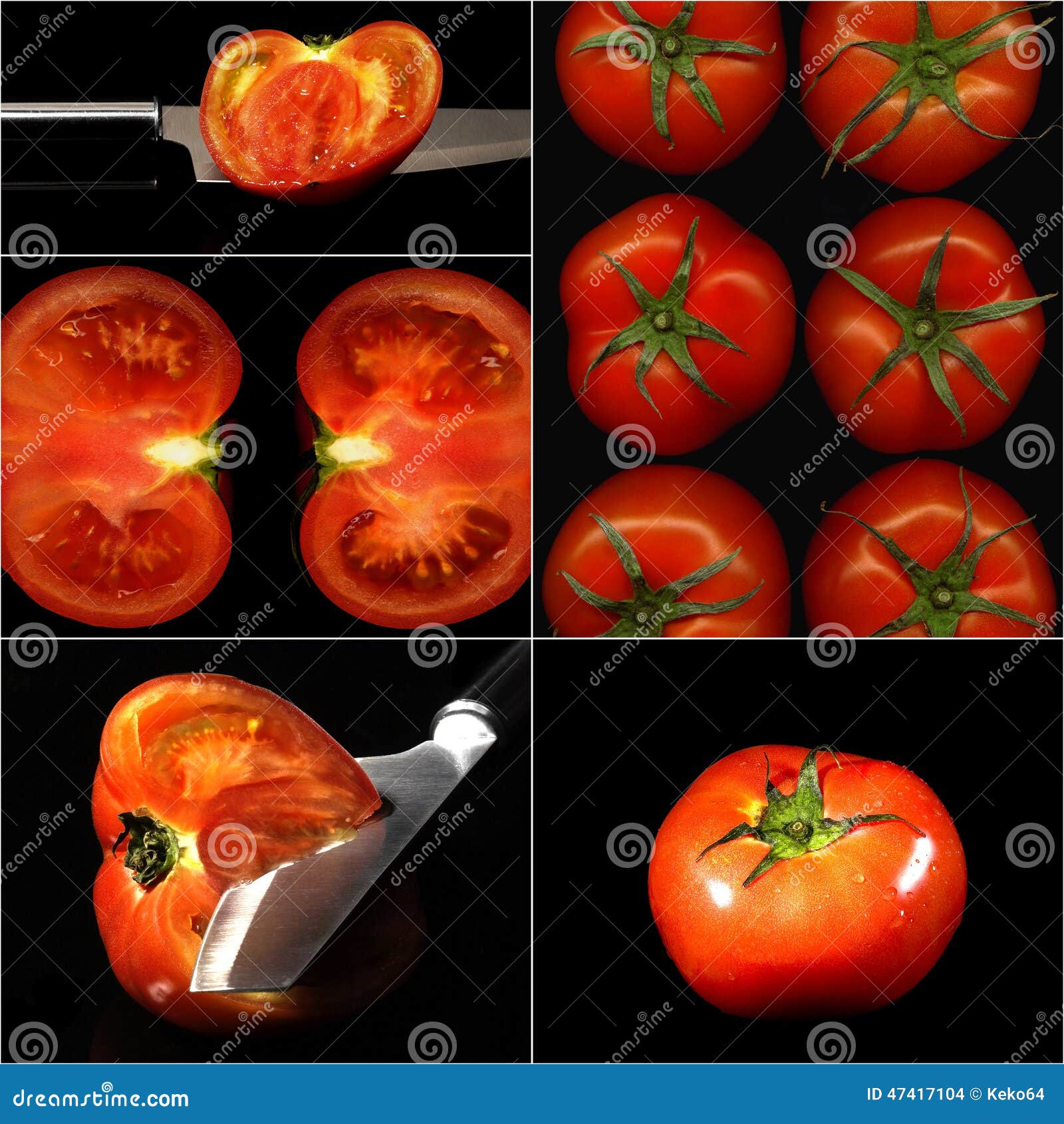 Tomatoes collage stock photo. Image of leaf, closeup - 47417104