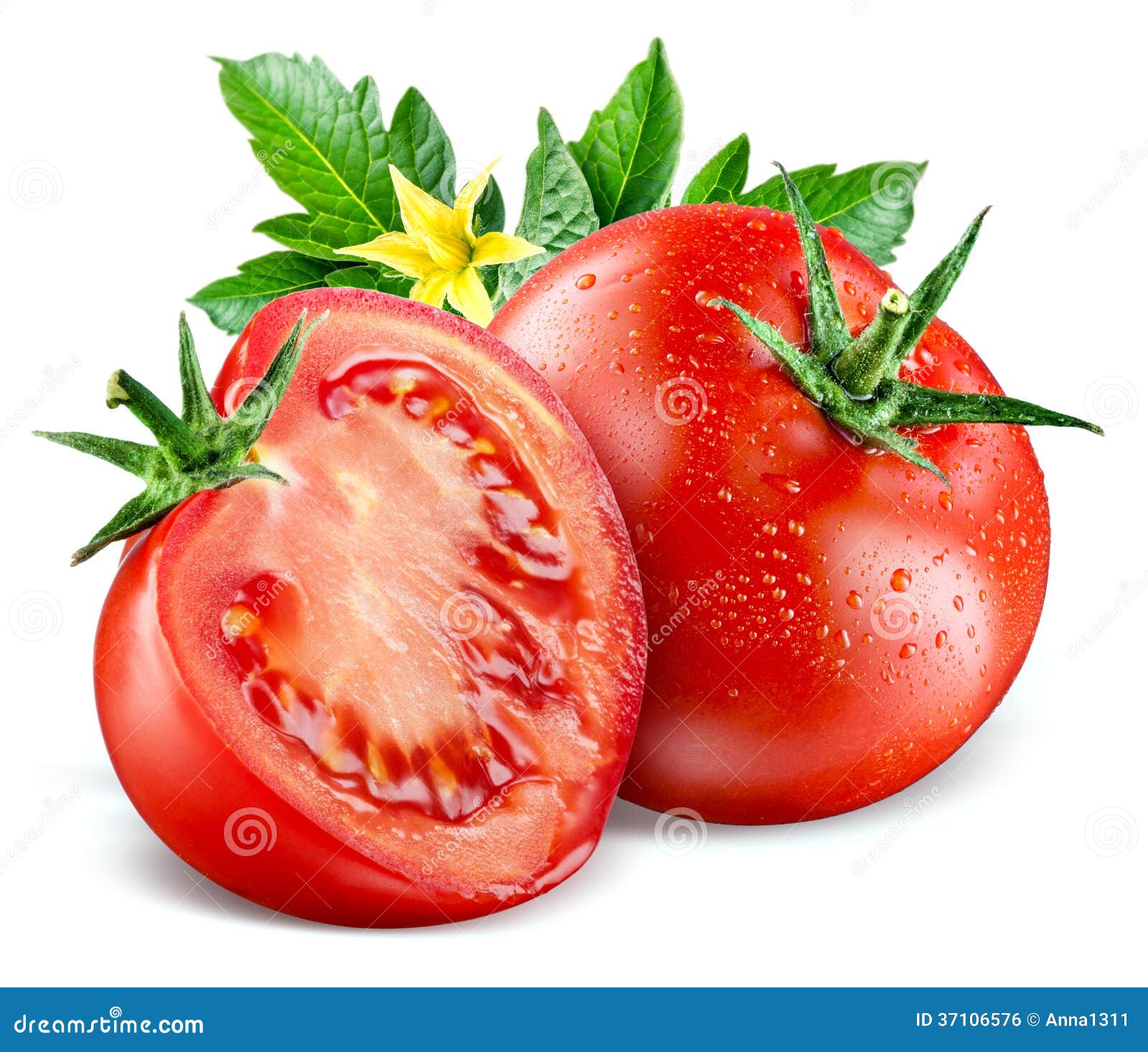 Tomatoes. Composition with Leaves and Flower Isolated on White Stock ...