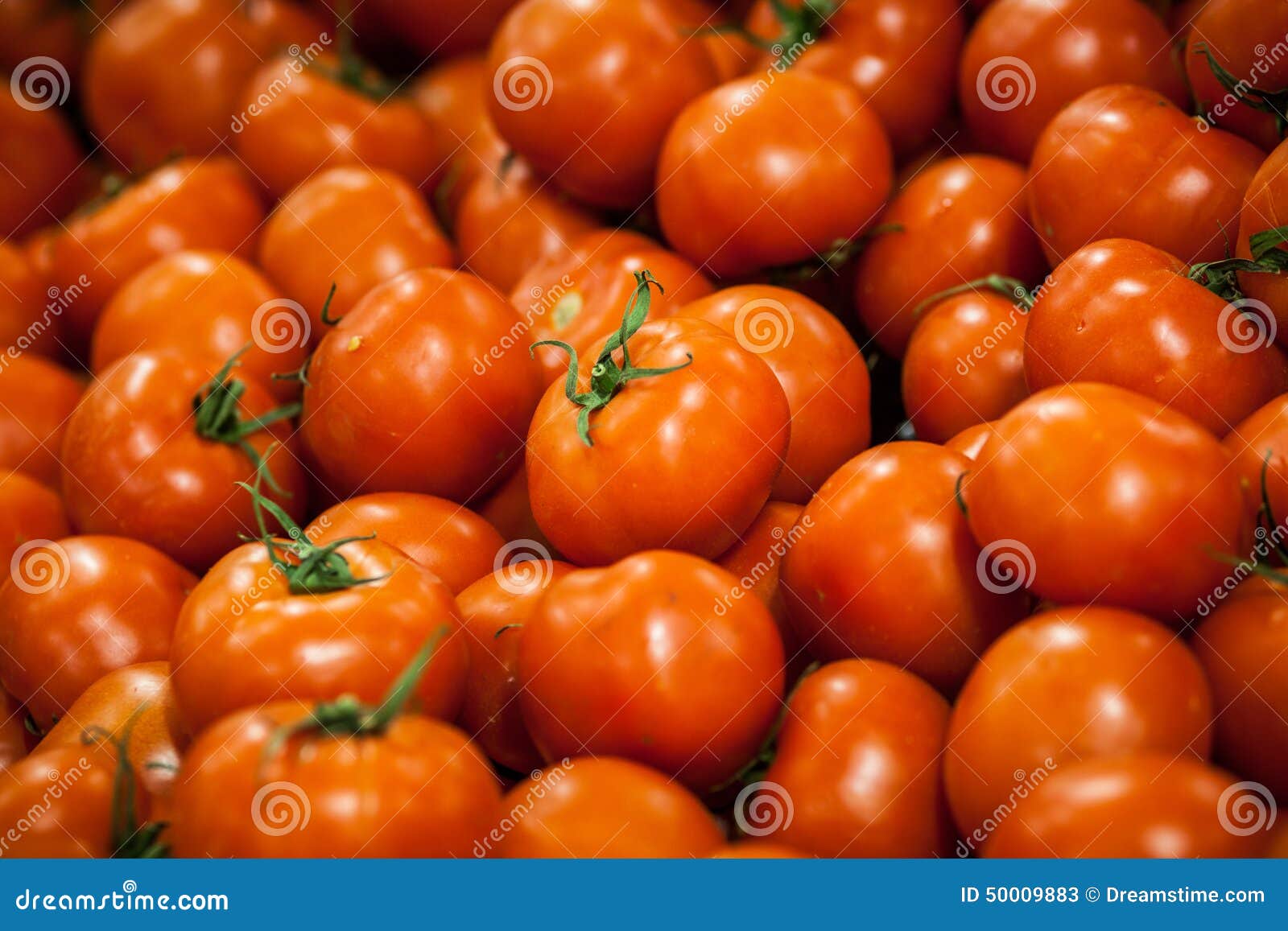 Tomatoes on display stock image. Image of food, closeup - 50009883