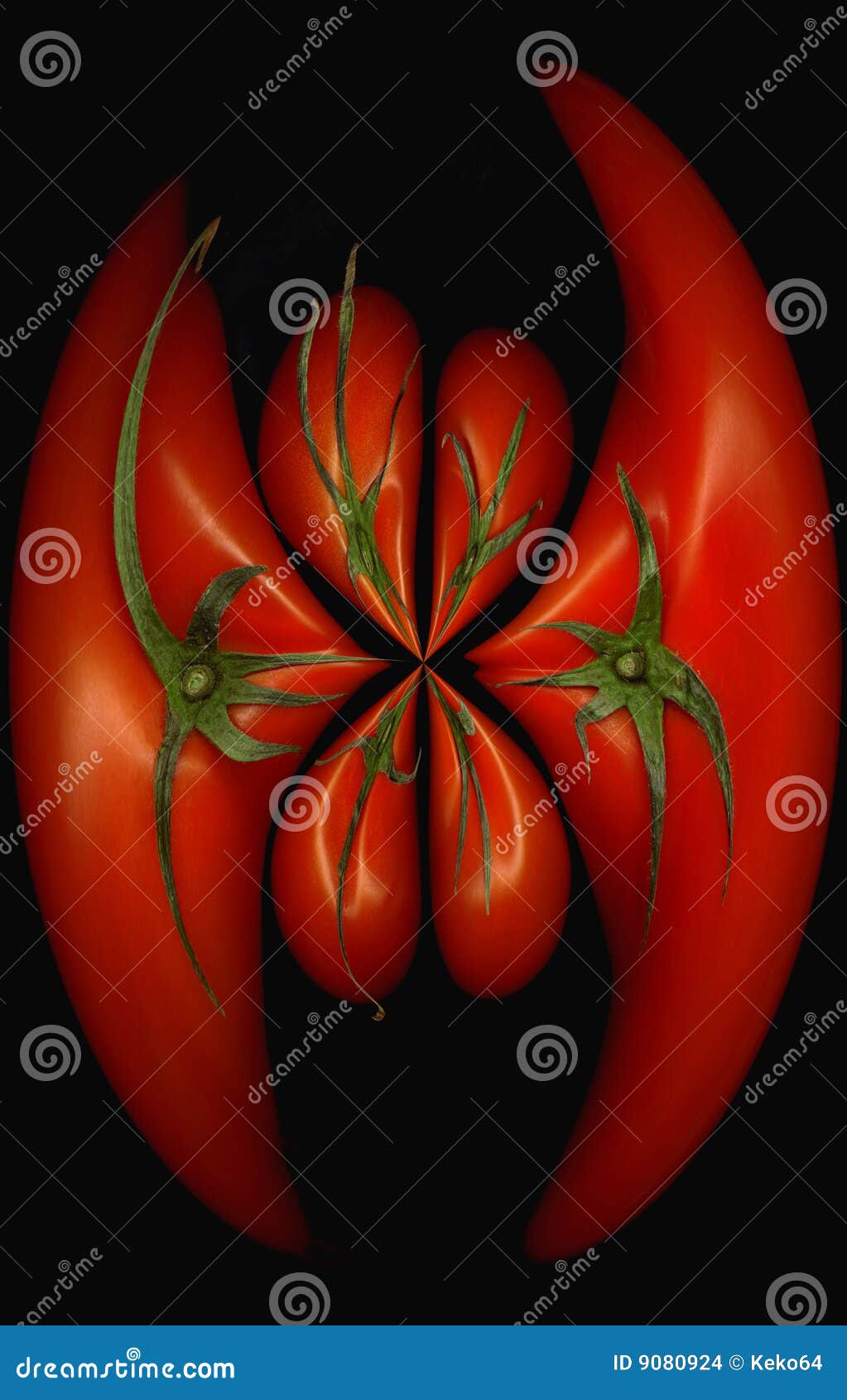 Tomatoes distortion stock photo. Image of expressing, special - 9080924
