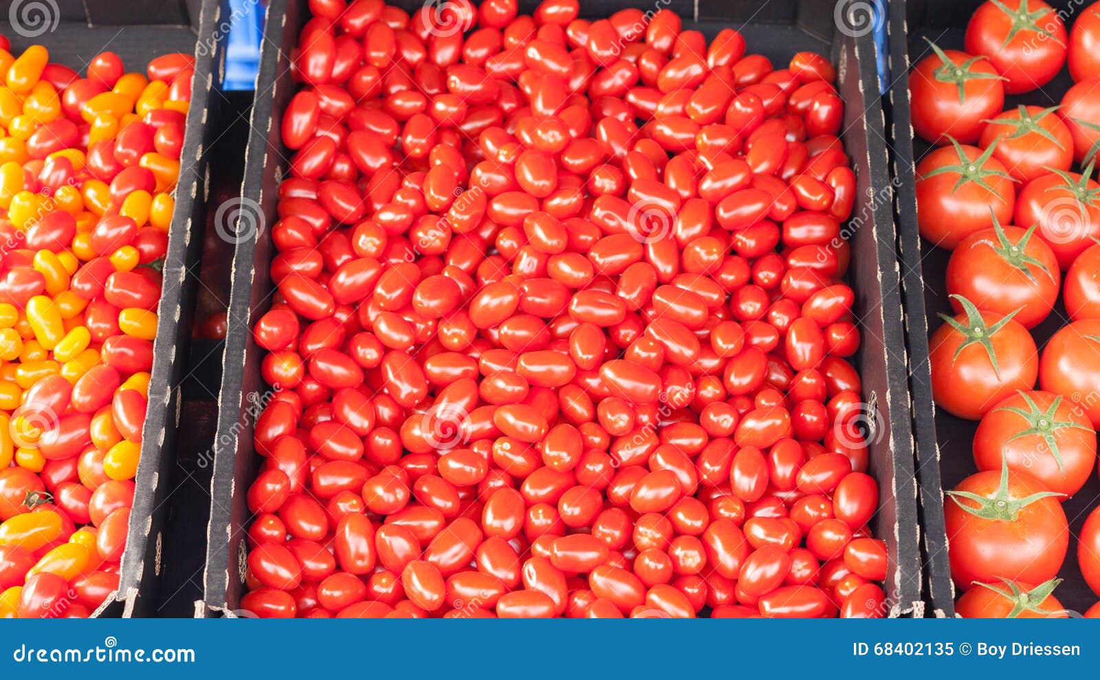Tomatoes at Farmer S Market Stock Image - Image of seasonal, organic ...