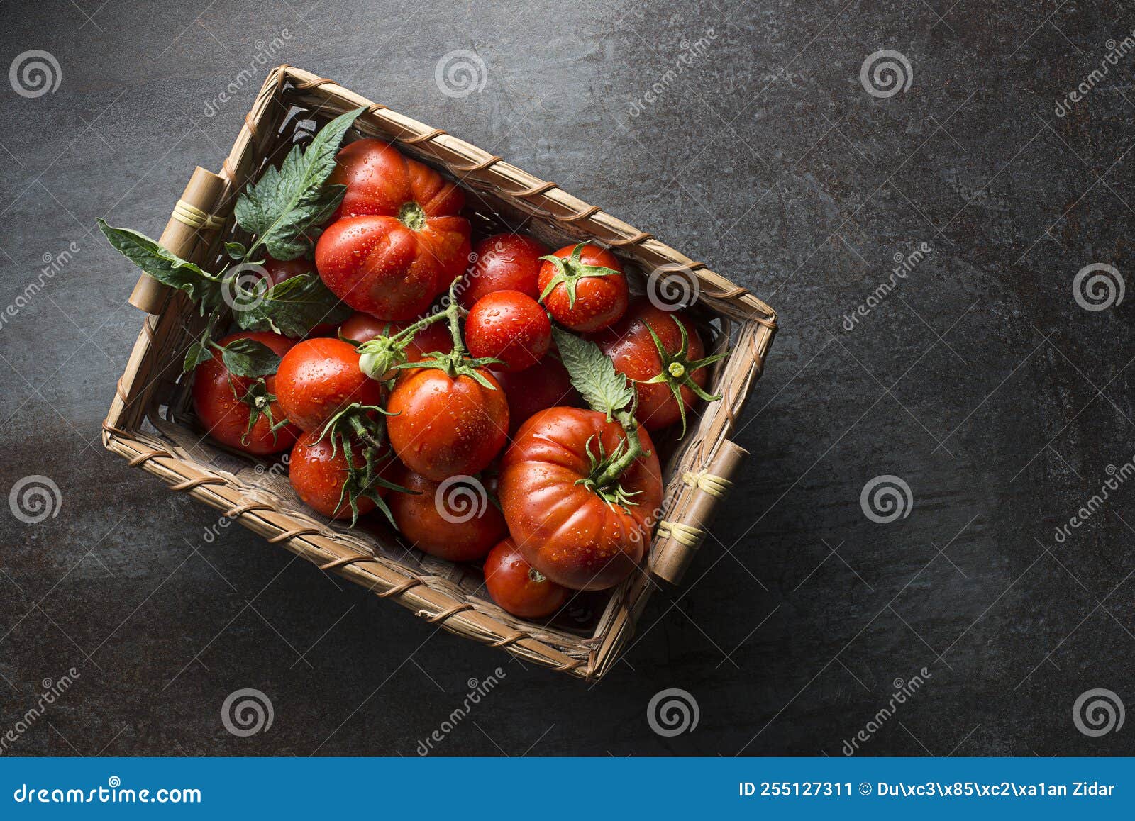 Freshly Picked Tomatoes in To Basket Stock Image - Image of farm, gray ...