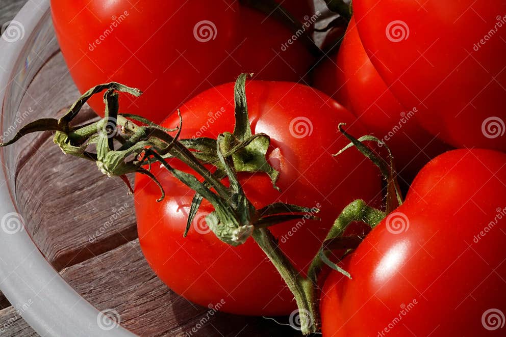 Tomatoes on a glass plate stock photo. Image of diet, ripe - 2276756