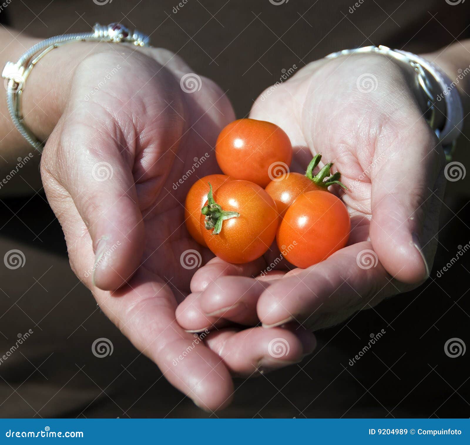 Tomatoes in hand stock image. Image of diet, green, background - 9204989