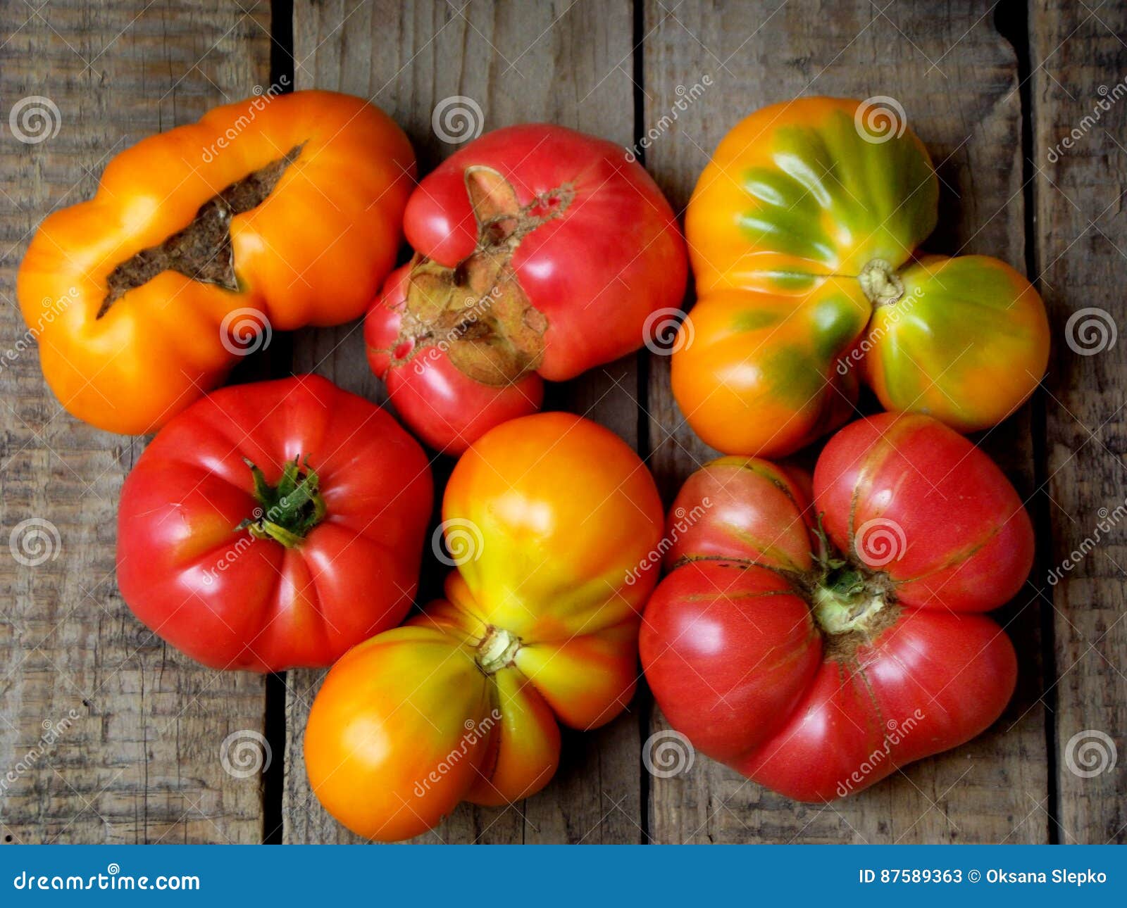 Tomatoes Irregular Shape of Different Varieties and Colors on Wooden ...