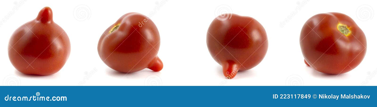 4 Tomatoes Isolated on White Background, Collection of Four Photos of ...