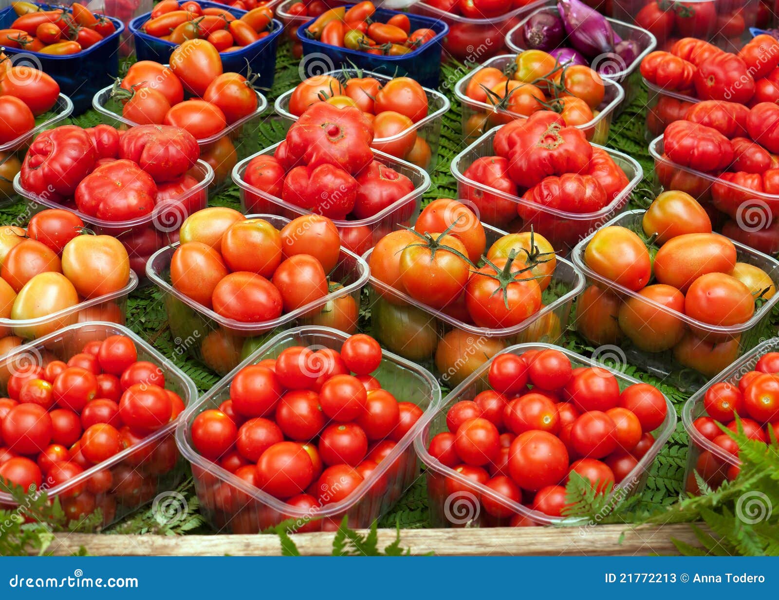 Tomatoes at the market stock image. Image of healthy - 21772213
