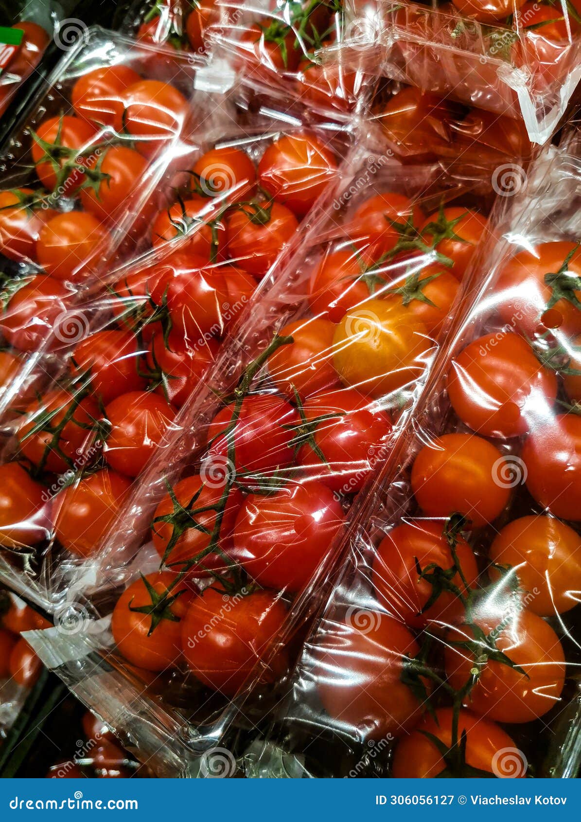 Tomatoes Packed Separately in Film Packaging Stock Image - Image of ...