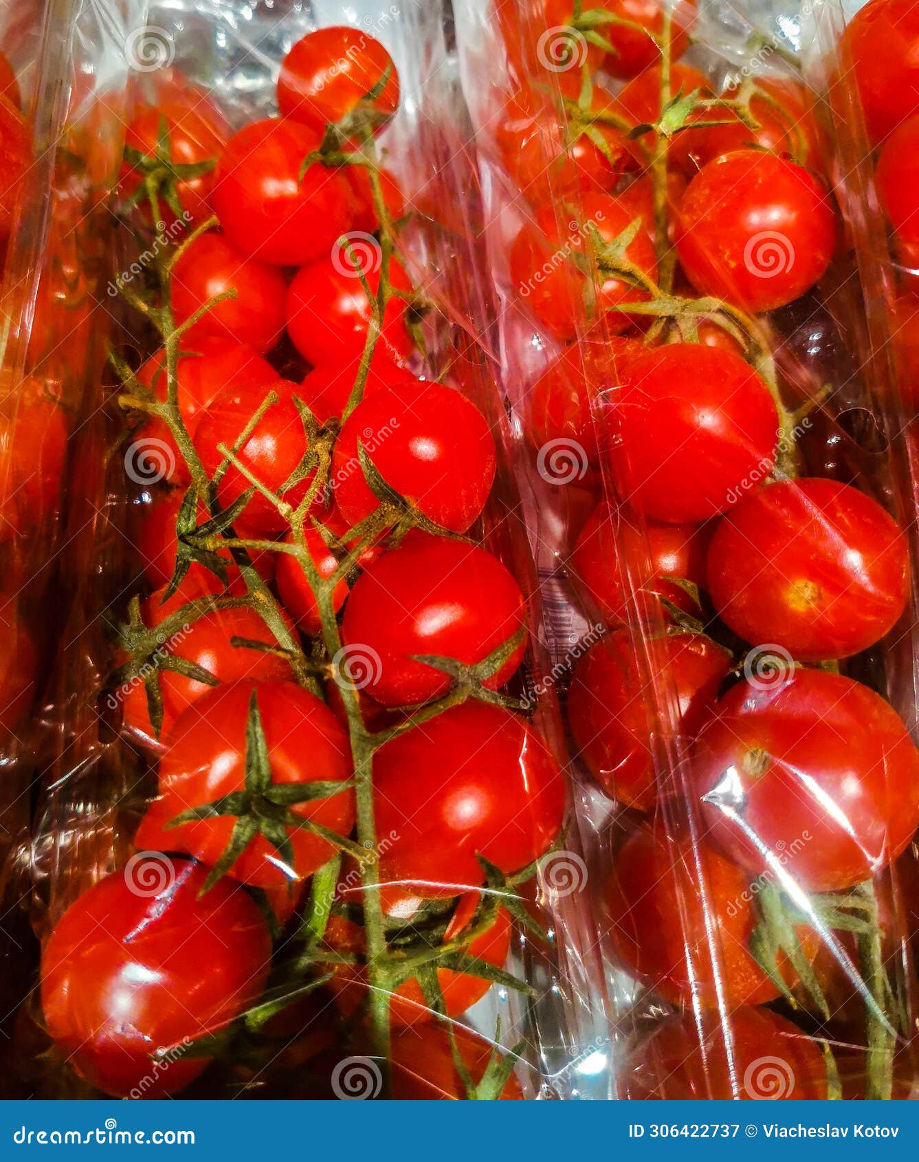 Tomatoes Packed Separately in Film Packaging Stock Image - Image of ...