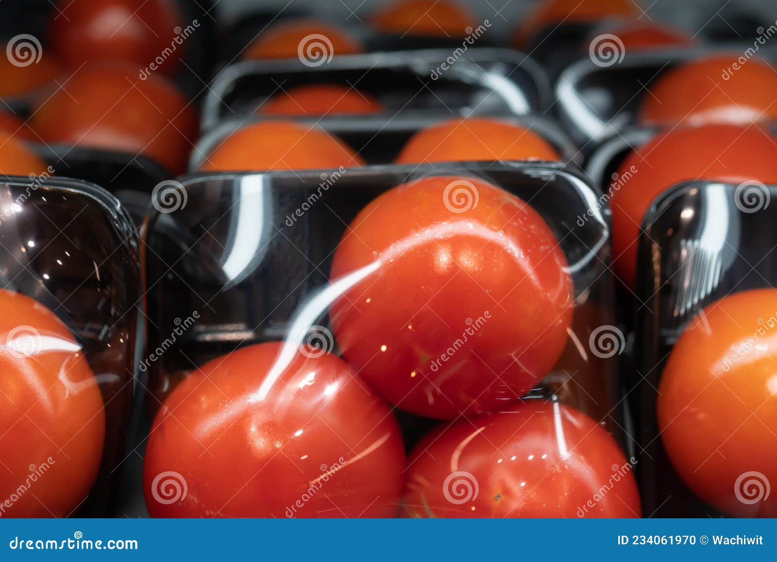 Tomatoes in Plastic Tray and Plastic Wrap Packaging Stock Photo - Image ...