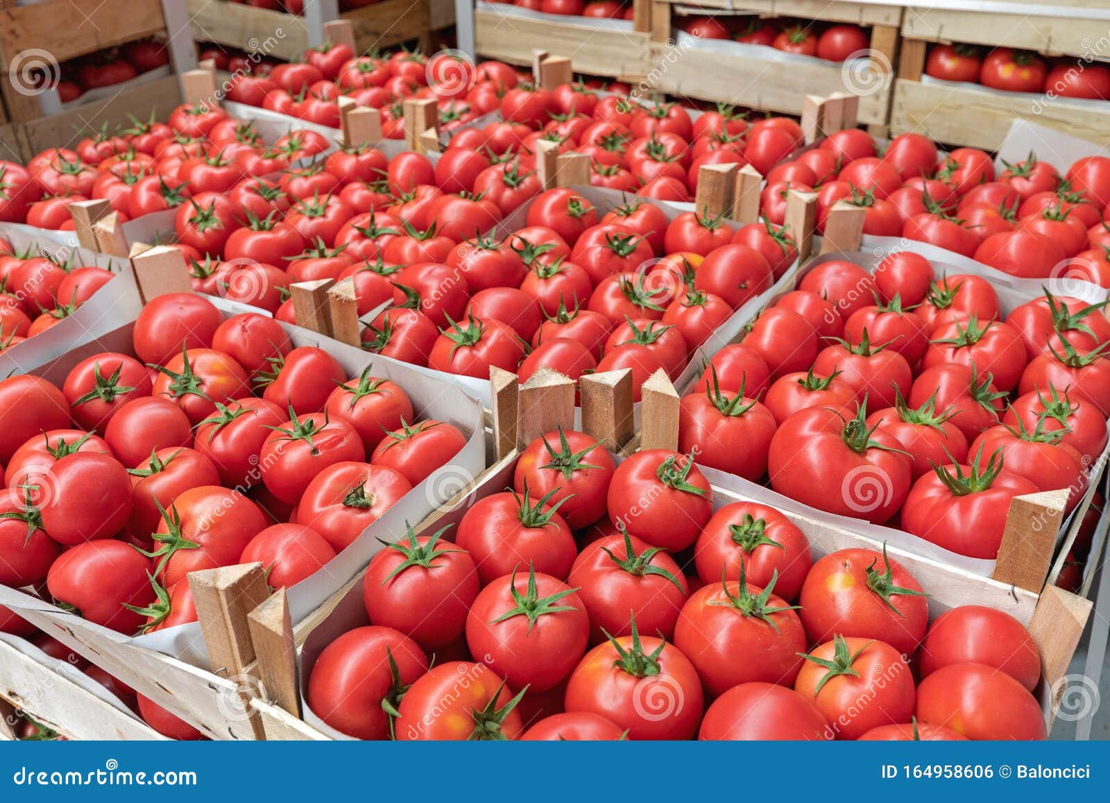 Tomatoes Produce stock photo. Image of vegetable, produce - 164958606