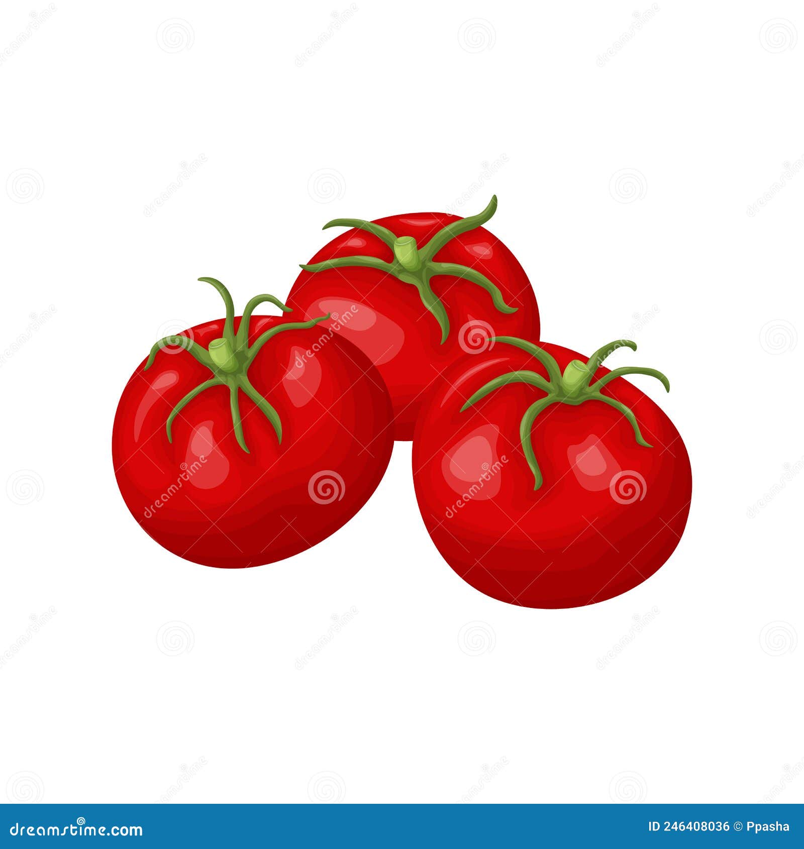 Tomatoes. Red Ripe Tomatoes. Image of Ripe Vegetables. Three Tomatoes ...