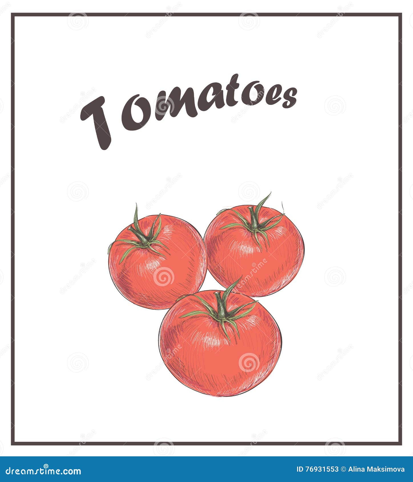 Tomatoes are Red. Sketch Vector Drawing Tomato Stock Vector ...